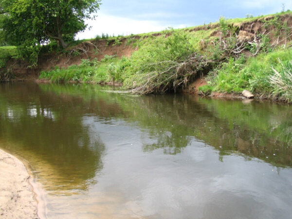 Bay Malton Angling Club waters - Cheshire North West fishing