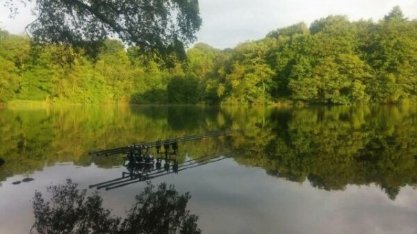 Bay Malton Angling Club waters - Cheshire North West fishing
