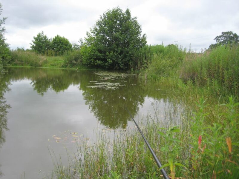 Bay Malton Angling Club waters - Cheshire North West fishing