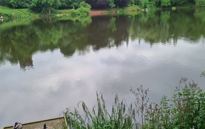 Lymm Dam - Bay Malton Angling Club